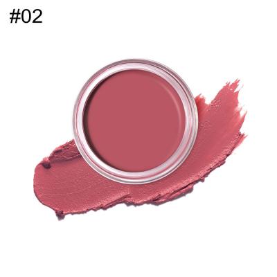 Cina L'alto trucco del pigmento arrossisce tavolozza ha personalizzato Logo Shimmer Finish per il fronte in vendita