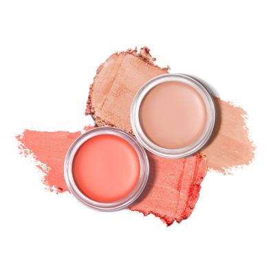 Cina L'alto trucco del pigmento arrossisce tavolozza ha personalizzato Logo Shimmer Finish per il fronte in vendita