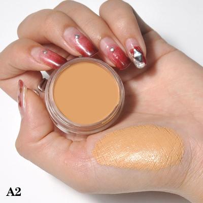 Cina Correttore Kit Highlighter Contour Blush Palette della crema della tavolozza di contorno di trucco di 10 colori in vendita