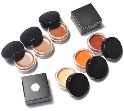 Cina I 10 cosmetici unisex della tavolozza dell'ombretto di colore scremano il correttore della tavolozza di contorno in vendita