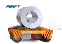 China Customization Remote Control Steerable Transfer Cart Low Voltage for sale