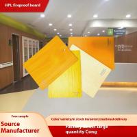 China Fireproof HPL Indoor Veneer Panel Customizable Polycarbonate Compact Sheet 1220x2440mm for sale