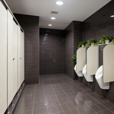 China Durable Toilet Partition Systems Customizable Bathroom Urinal Partitions for sale