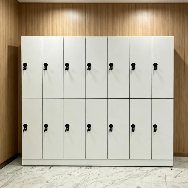 Quality Waterproof Office Storage Locker Anti Impact / Anti Corrosion Office Locker Cabinet for sale
