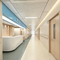 China Fireproof Antibacterial Compact HPL Wall Cladding for Hospital Interior Custom Size 8mm for sale