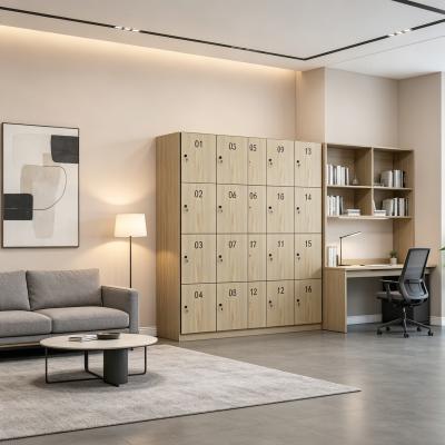 China Eco Friendly Commercial Gym Lockers Moisture Proof Storage Cabinet Locker Anti Bacterial for sale