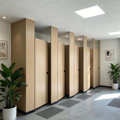 China Wood Grain Toilet Partition Systems Moisture Resistant Public Restroom Stall Dividers Fireproof for sale
