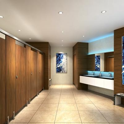 China Waterproof Commercial Bathroom Partitions Wood Grain HPL Toilet Partition for sale