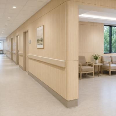 China Hygienic Compact HPL Wall Panel, Easy Clean Wall Cladding for Medical Facilities for sale