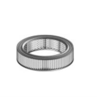 Cina Sostituzione del filtro dell'aria OEM per Ford C3034 TA02 89SF-9601-AA 81SF-9601-BA 84HF-9601-AA 6132769 in vendita