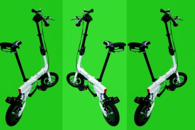 China Fashion Folding Road Bike Aluminium Alloy Frame With Two Wheels Inflated Tyre for sale