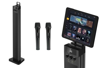 China Outdoor Portable Karaoke Speaker Home Theater Tower Speakers Sound System for sale
