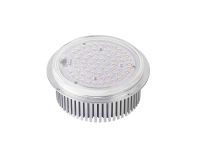 Cina Kit di retrofit LED per esterni IP66 Modulo LED in alluminio rotondo per lampada da prato in vendita