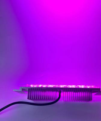 Cina Modulo proiettore LED DMX RGB rgbw impermeabile IP66 da 40W 50W, facile installazione in vendita