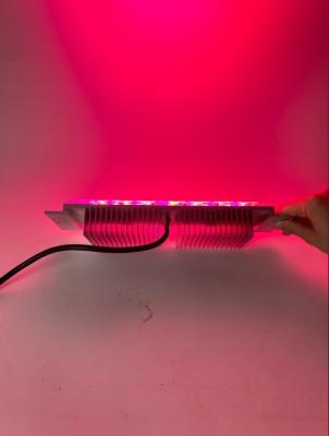 Cina Modulo LED per coltivazione 30W 50W RGB Fari da giardino colorati per esterni in vendita
