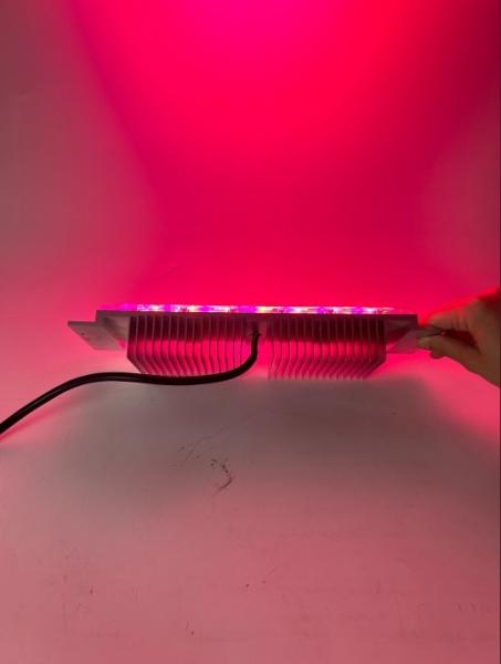 Quality LED Grow Light Module 30W 50W RGB Colorful Outdoor Garden Spot Lights for sale