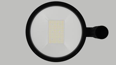 China High Brightness LED Garden Light 200W For Home Hotel Garden Park for sale