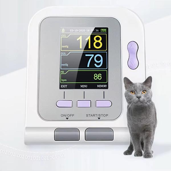 Quality Digital Veterinary Monitoring Device for Pets Cat Dog and Animal Blood Pressure Monitor for Vets for sale