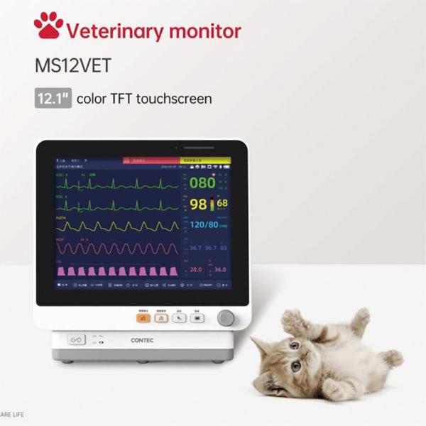 Quality High-Resolution Portable Ultrasound Machine for Dog Pregnancy Examination for sale