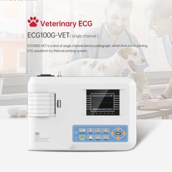 Quality Portable Handheld Veterinary ECG100G-VET Multiparameter Electrocardiograph Heart for sale