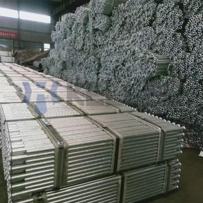 China Underground Mining Tunnel Arch Support 46mm Split Set Roof Friction Rock Anchor Bolt for sale