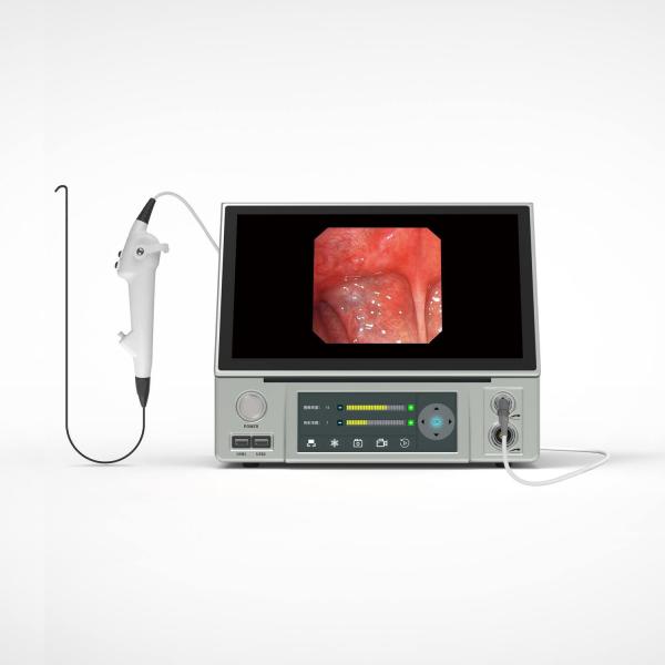Quality Fully Integrated Flexible 13.3 Inch Endoscope Camera Endoscopic Imaging System for sale
