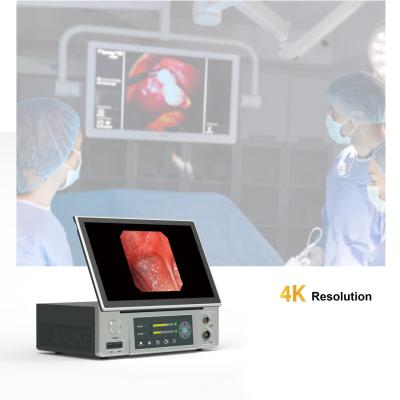 China 1080P 60FPS Flexible Digital Endoscope Featuring 330mm Length 215mm Width 110mm Height Perfect for Control and Equipment Diagnostics for sale