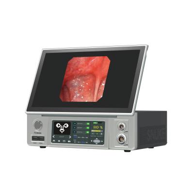 China 1080P 30FPS Flexible Video Endoscope Featuring 6.8 Inches Touch Screen Size Suitable for Precise Visual Inspection Tasks for sale