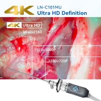 China 4K 60FPS 2 in 1 Medical Endoscopy Camera System with 800-2600lm LED Light Source for sale