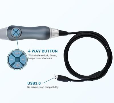 China Digital Portable USB Portable Endoscope Camera 1080p For PC  Mobile All In One Travel Bag for sale