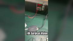 LN-21YL_4K demo video