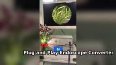 Light Source Machine