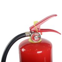 China Safewayfire Dry Powder Fire Extinguisher 1-12kg BSI EN3 Car Chemical Fire System for sale