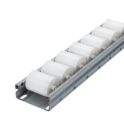 China DY-8533 ABS Plastic Roller Track Placon Conveyor Table For Automatic Warehouse Logistic System for sale