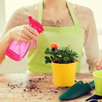 China Plastic Trigger Spray Bottles for sale