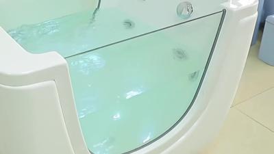 Cina aria Jett Massage Indoor Dogs FSSIMA di 1M BB Baby Spa Bathtub in vendita