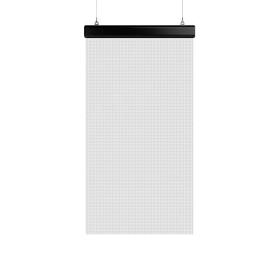 Cina SculptStone Serie di manifesti per schermo invisibile olografico grandezza 55" 70" 100" 135" in vendita