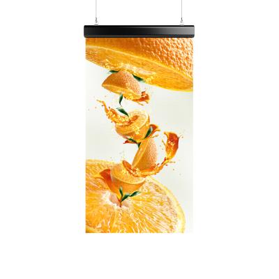 China SculptStone Holographic Invisible Screen Poster Series Huge Size 55" 70" 100" 135" for sale