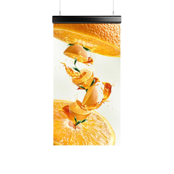 Quality SculptStone Holographic Invisible Screen Poster Series Huge Size 55