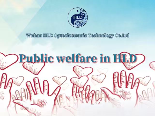 Public Welfare in HLD