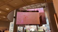 Invisible Transparent LED Screen Display