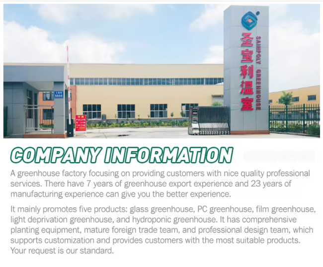Company Profile.png