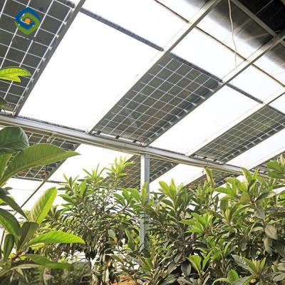 Cina Copertura in policarbonato di vetro Serre fotovoltaica includono sistemi automatizzati in vendita
