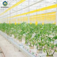 Quality Galvanized Frame Single Span Tunnel Greenhouse Plastic Shed For Vegetables for sale