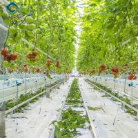 Quality Tomato Greenhouse for sale