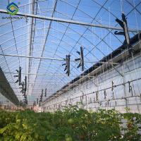 Quality Single Span Tomato Greenhouse Hydroponics Growing Large Glass Green Houses for sale