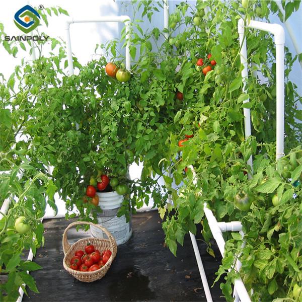 Quality Turnkey Project Multi Span Commercial Hydroponic Greenhouse Waterproofing for sale