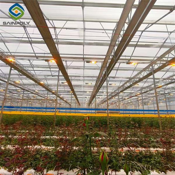 Quality Flower Growing Steel Frame Greenhouse Wind Resistance Large Glass Greenhouse for sale