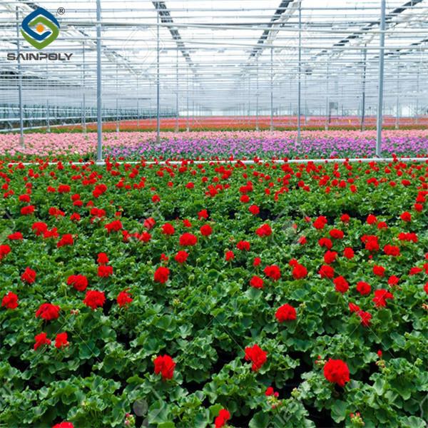 Quality Toughened Clear Glass Flower Greenhouse Customized With Automatic Systems for sale