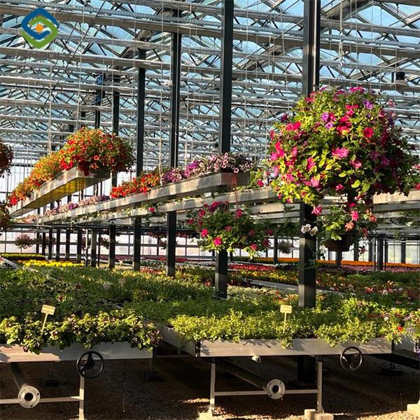 Quality Toughened Clear Glass Flower Greenhouse Customized With Automatic Systems for sale